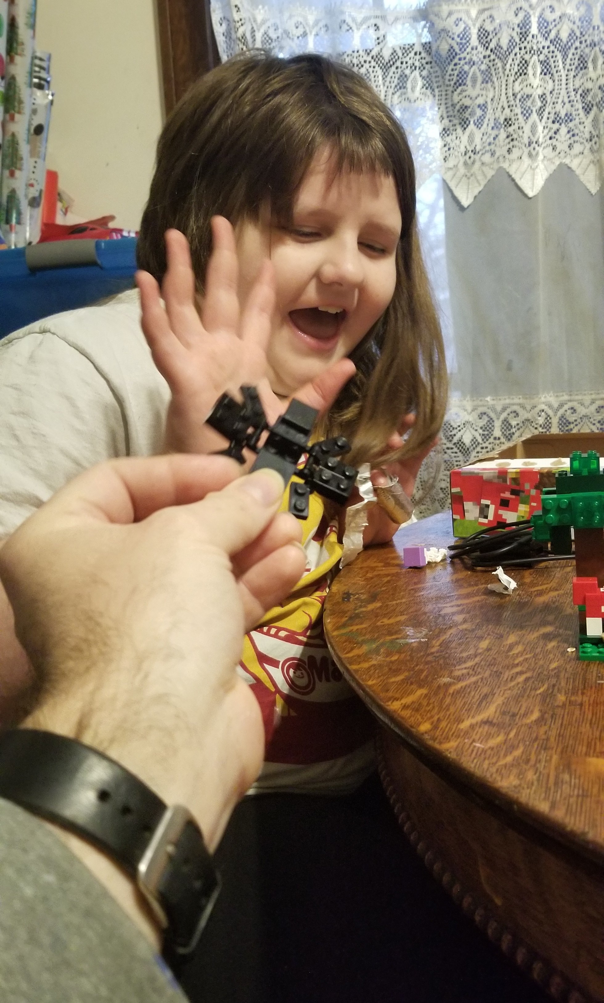 Dec ’23: Christmas Minecraft Legos | FlameFlash.net