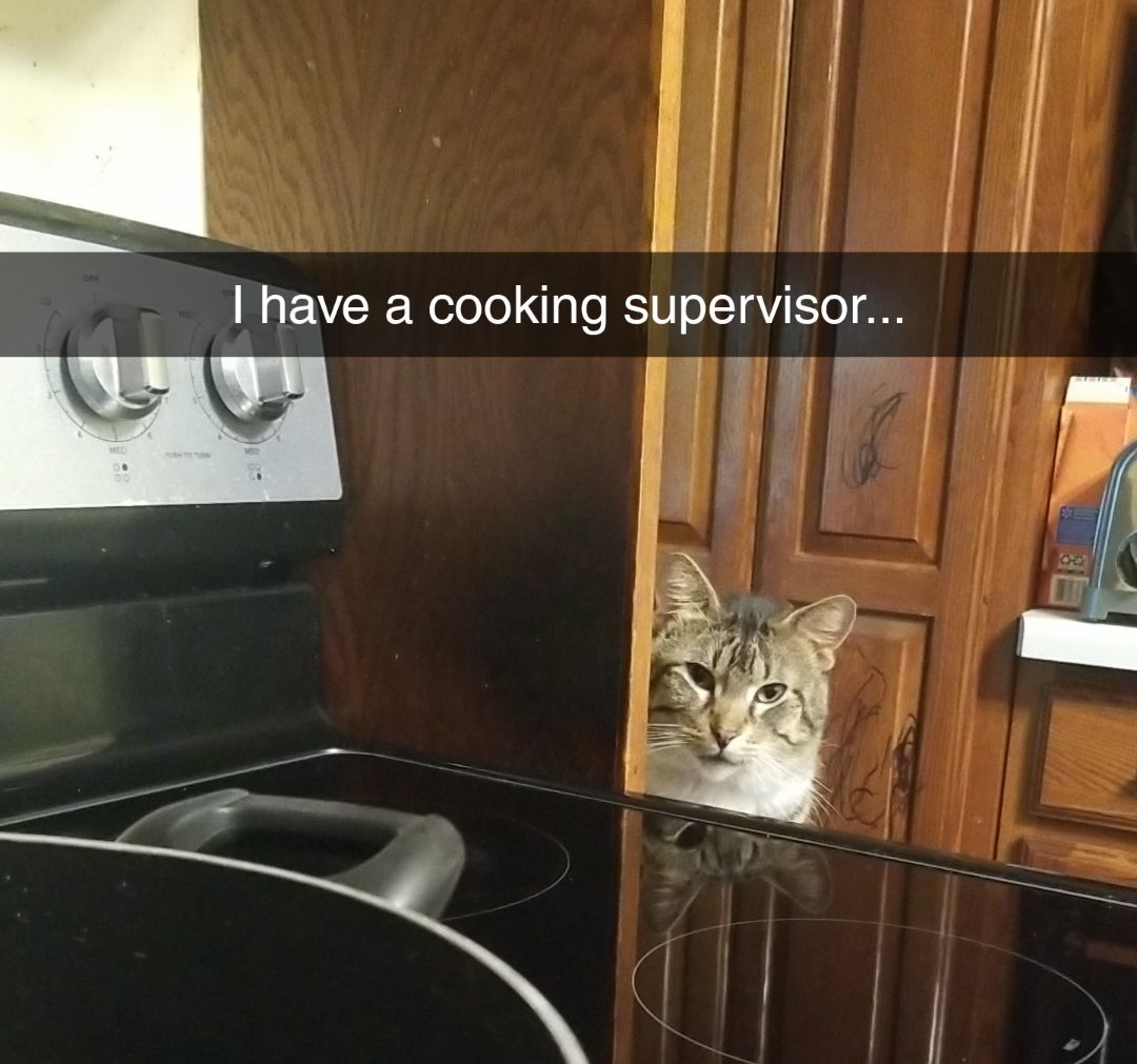 June ’24: Caturday Cooking Supervisor | FlameFlash.net